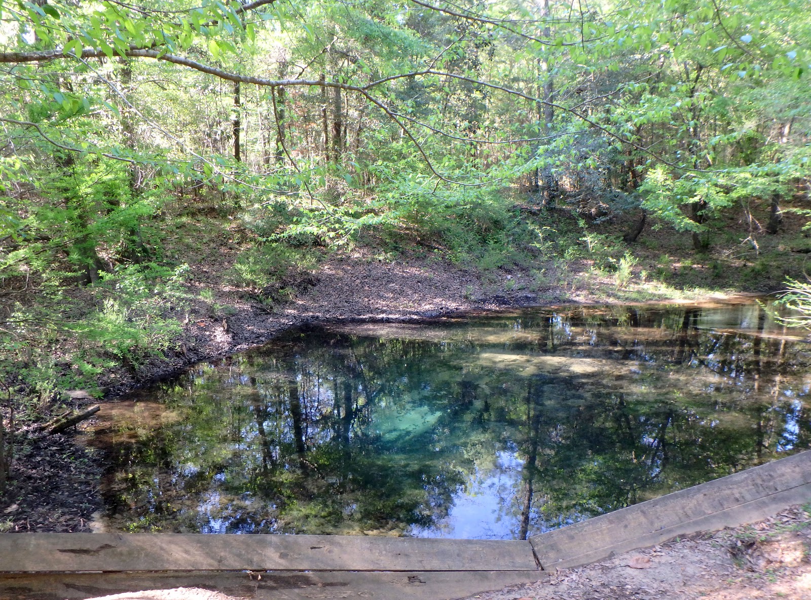 PAMPERED PENGUIN: April 4-6, Open Pond campground , Alabama