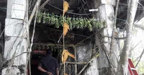 Mystique Earth: MUTHU KARUMARIAMMAN TEMPLE IN JENIANG KEDAH BELIEVED TO ...