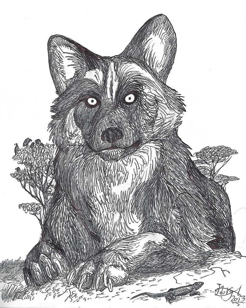 Abe's Animals: Xenocyon