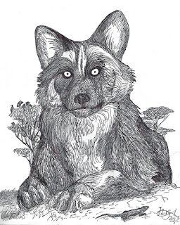 Abe's Animals: Xenocyon