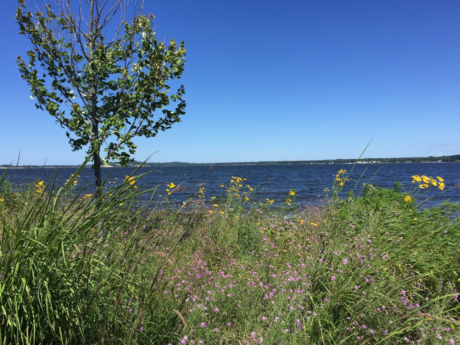 Travel Reviews & Information: Muskegon, Michigan / Fisherman's Landing ...