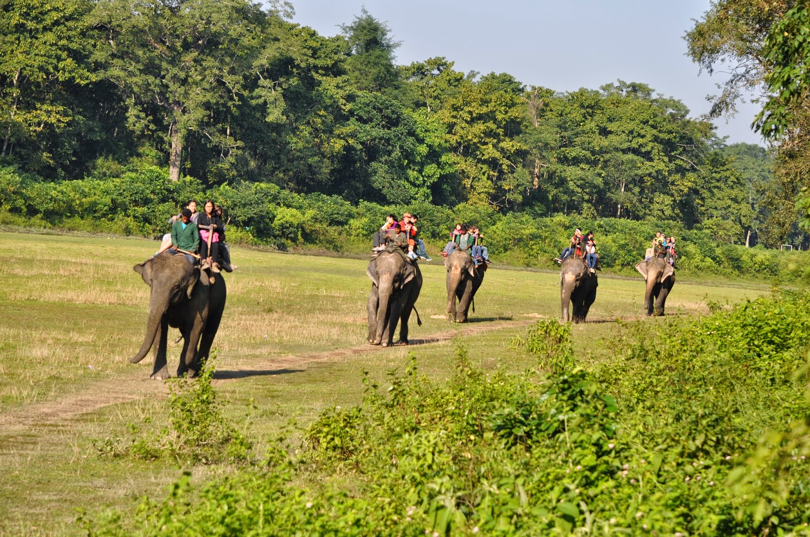 Road Less Travelled: Into the Wild- Chitwan National Park.