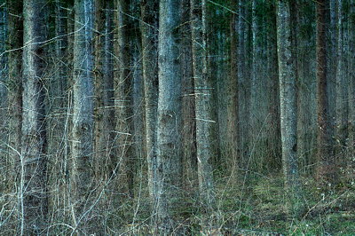 French Landscapes - Nature and landscape photography from France: Messy ...