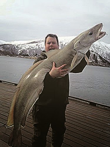 Big Fishes of the World: LING (Molva Molva)