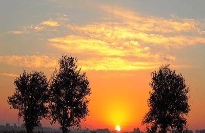 #Kumpulan Puisi Pagi yang Cerah Keren Dan Terbaik