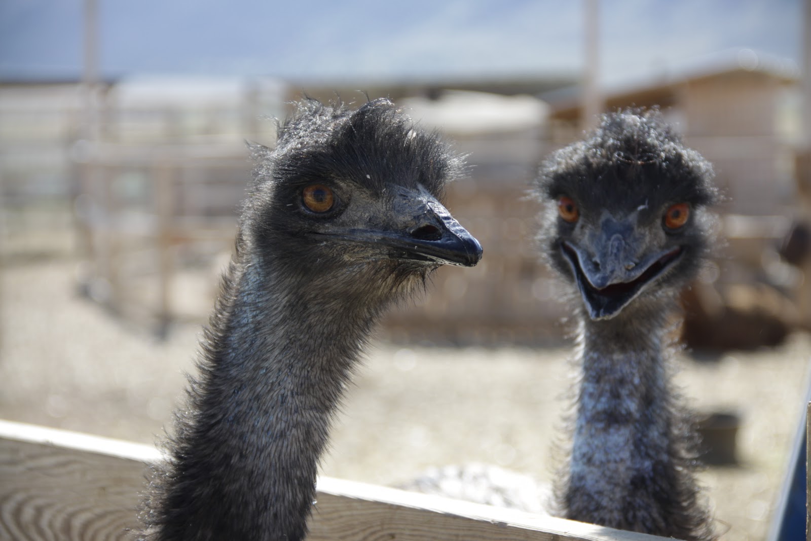 My Scenic Byway: April 2012