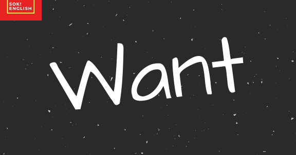 Penggunaan Kata Want dan Contohnya dalam Kalimat Bahasa Inggris - Sok ...