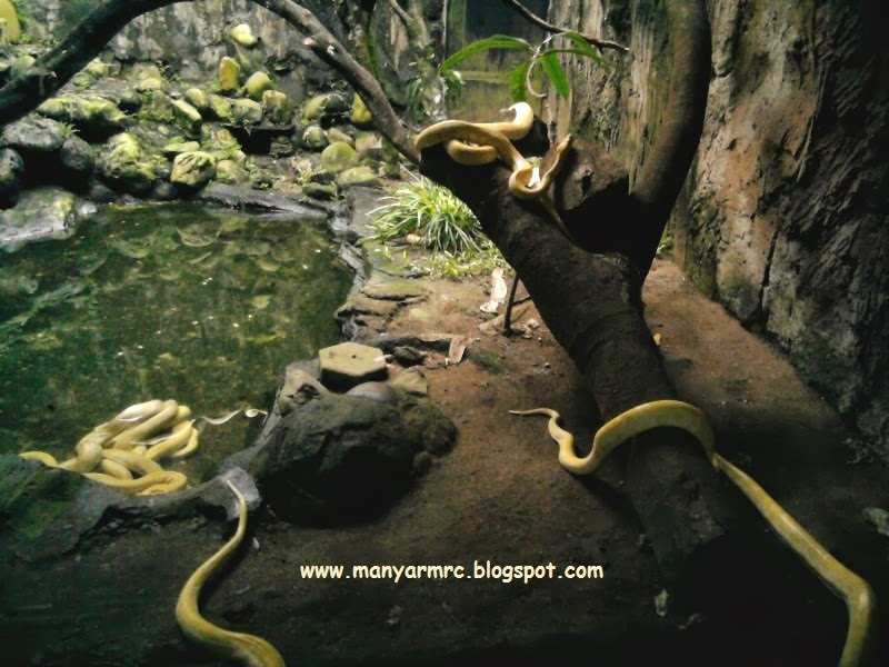 MANYAR RIDERS COMMUNITY: Kebun Binatang Ragunan Jakarta Indonesia