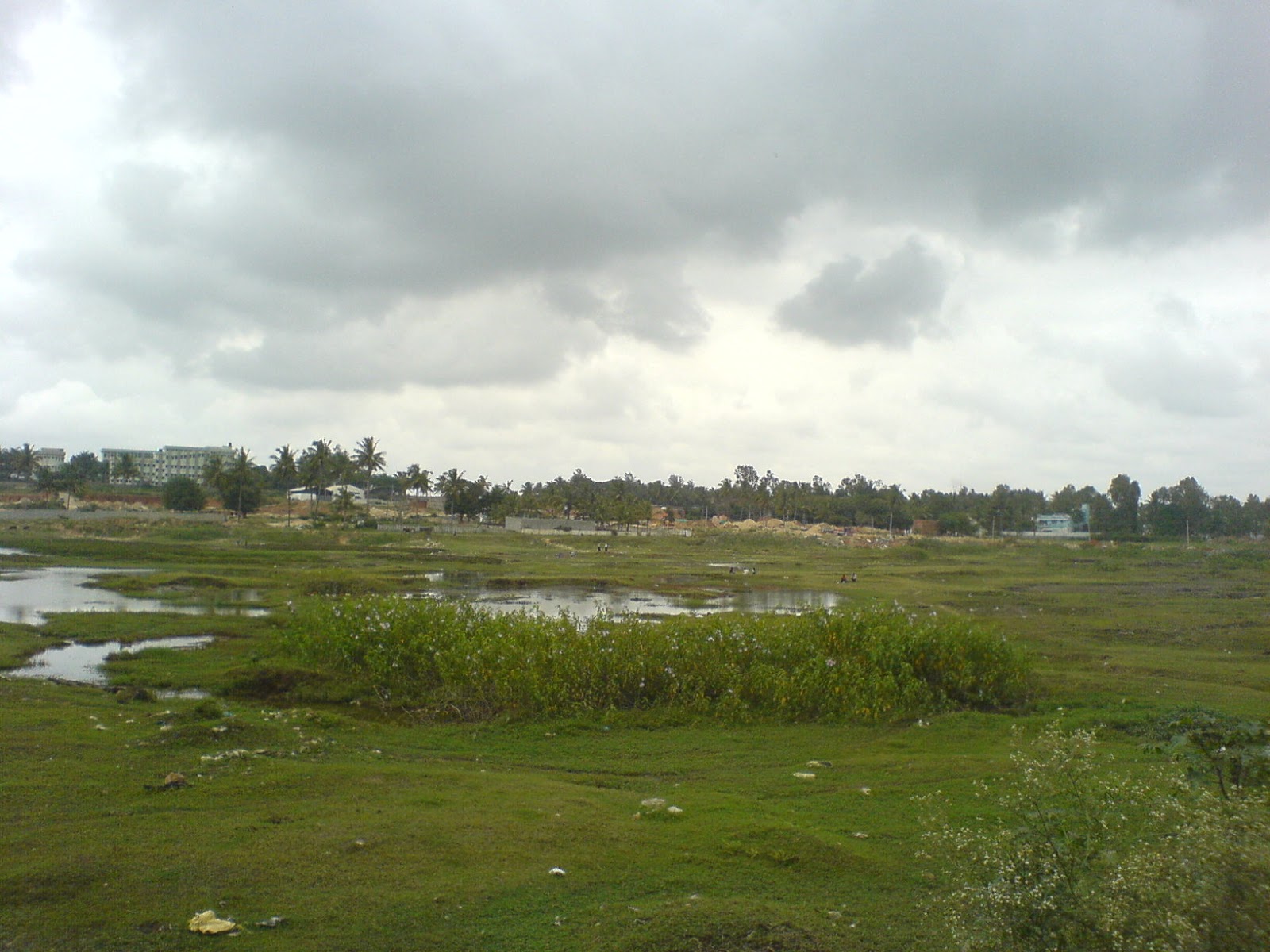 LifeinBLR - Life in Bangalore: Gottigere Lake Photo Gallery-Untouched ...