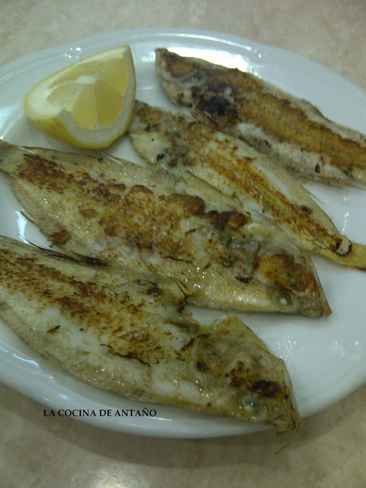 LA COCINA DE ANTAÑO: PALAYAS