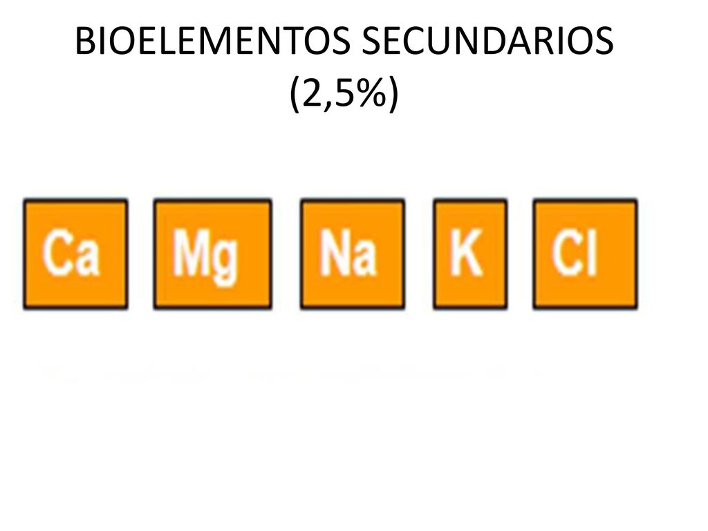 BIOMOLÉCULAS Y BIOELEMENTOS: 2018