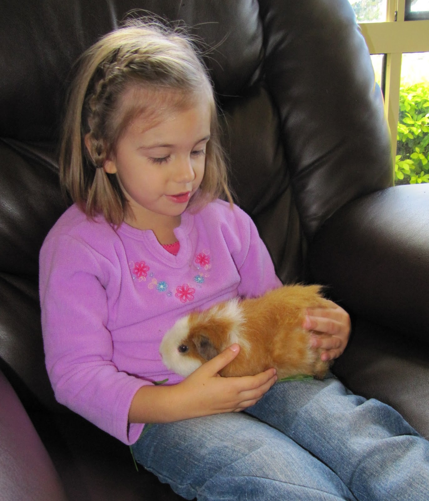 All Things Guinea Pig: Chelsea's first Pig