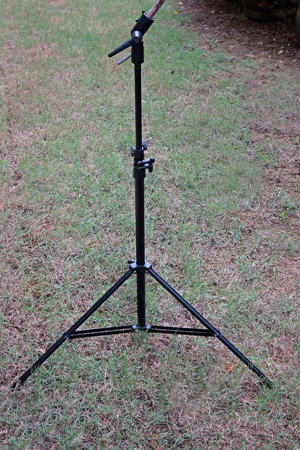 Pertinent perches are paramount