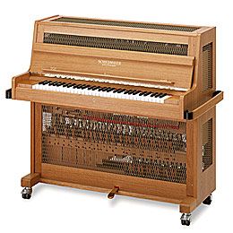 Des livres en Ribambelle: Le dictionnaire imaginaire Célesta