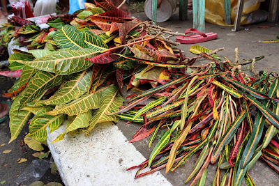 San Josenyong Gala: Kinabayo Festival 2017 : A Showcase of Dapitan's ...