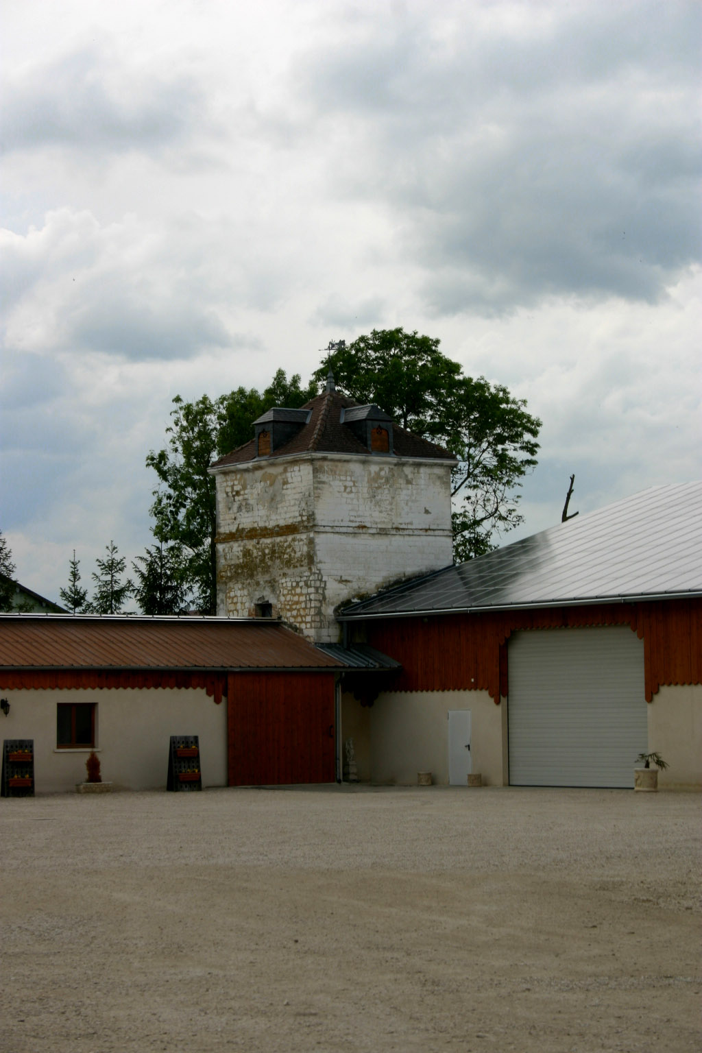 Marie-Angélie, la fille sauvage de Songy