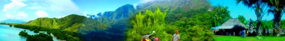 Curriculum Vitae (CV) Versaun Tetun | Siensia no Esperiensia Harii ...