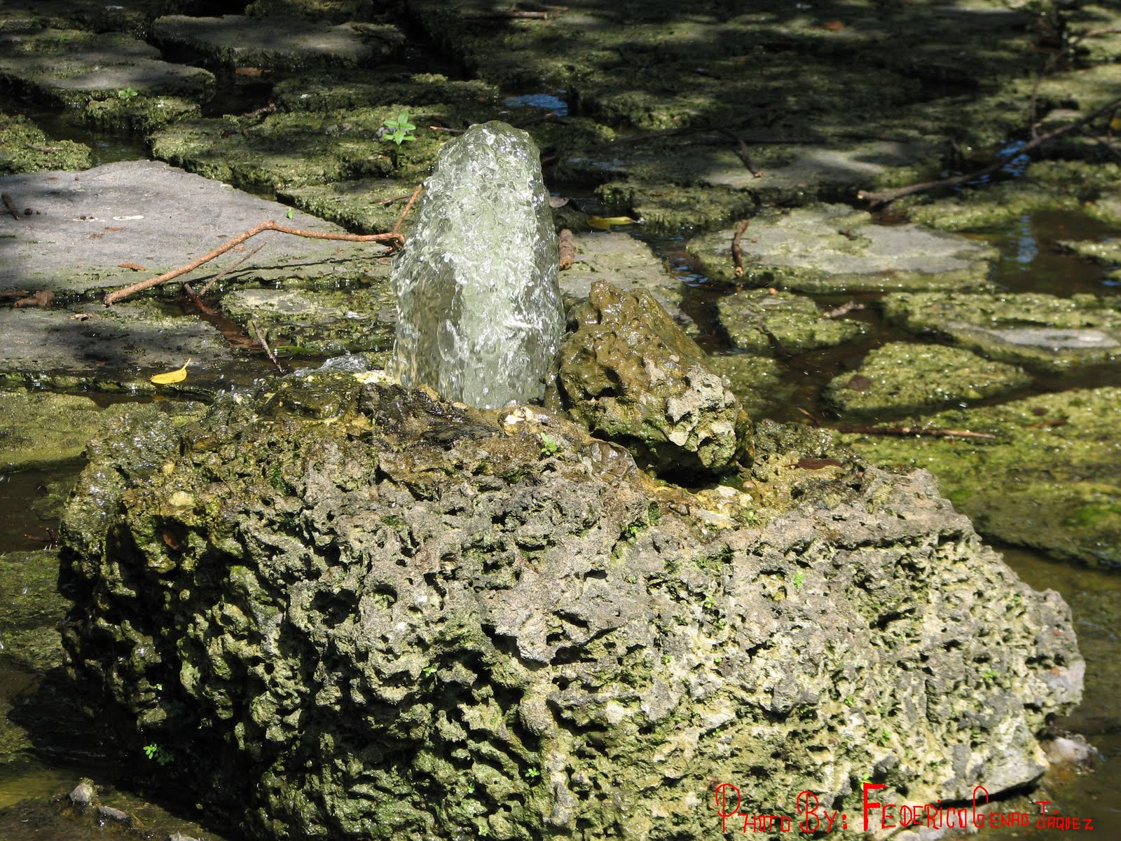 Bonao Internacional: DIOS DIJO A MOISES : SALDRA AGUA DE LA ROCA Y ...