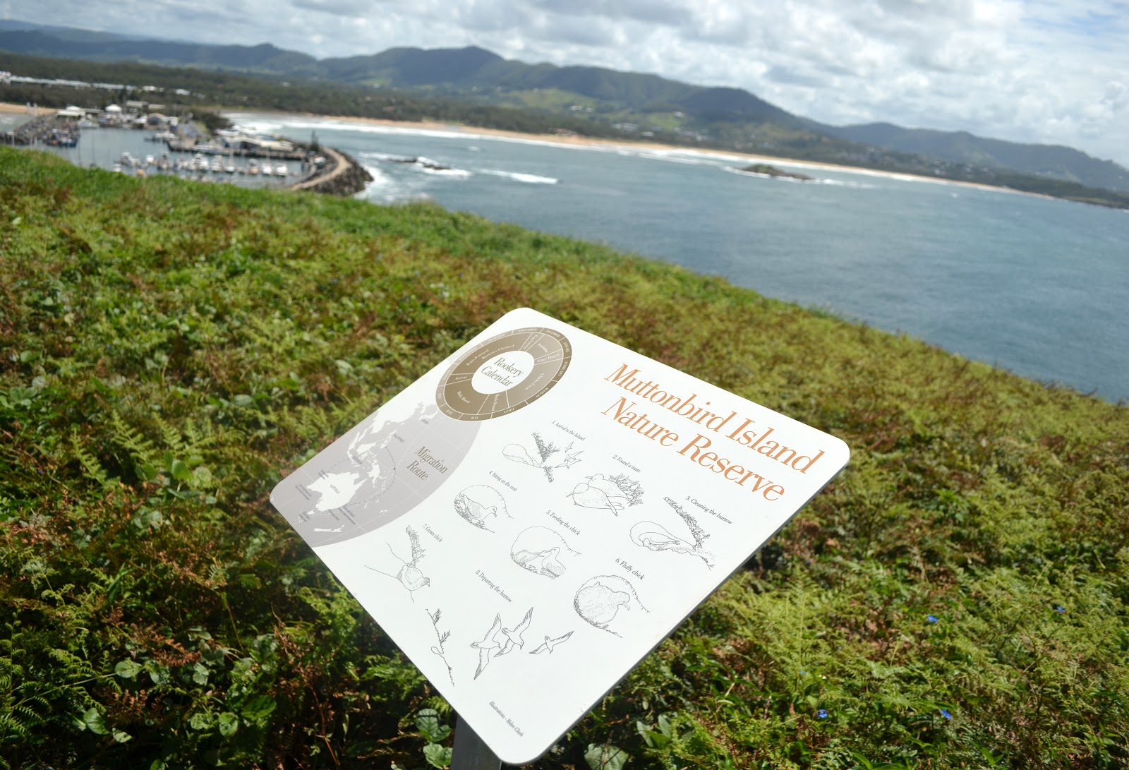 We'reOnTheWay: Coffs Harbour great surf in Mutton Bird bay