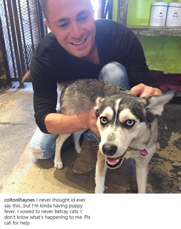 VJBrendan.com: Dudes With Dogs... Colton Haynes
