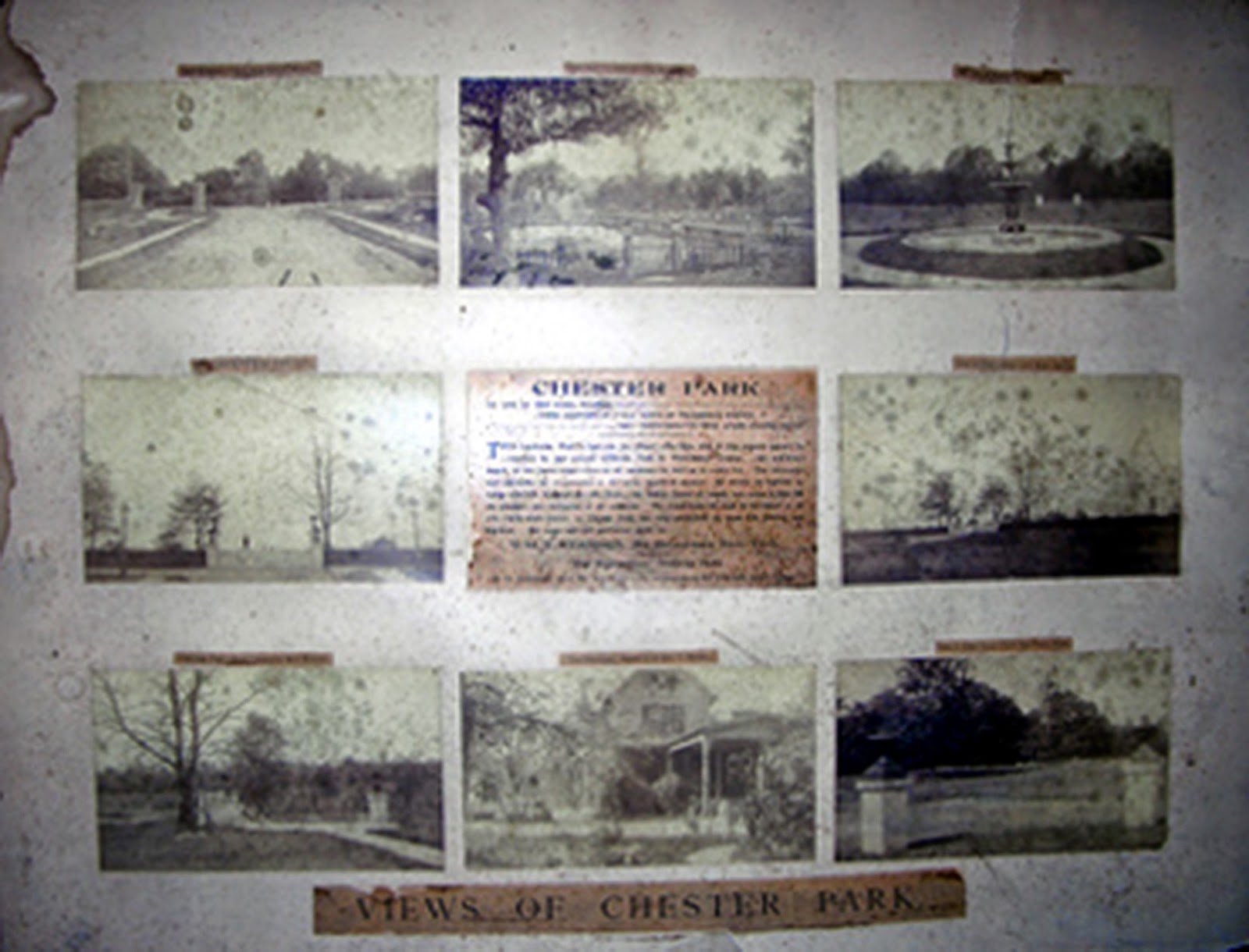 Historic Pelham: Early Photographs of Chester Park Among Materials ...