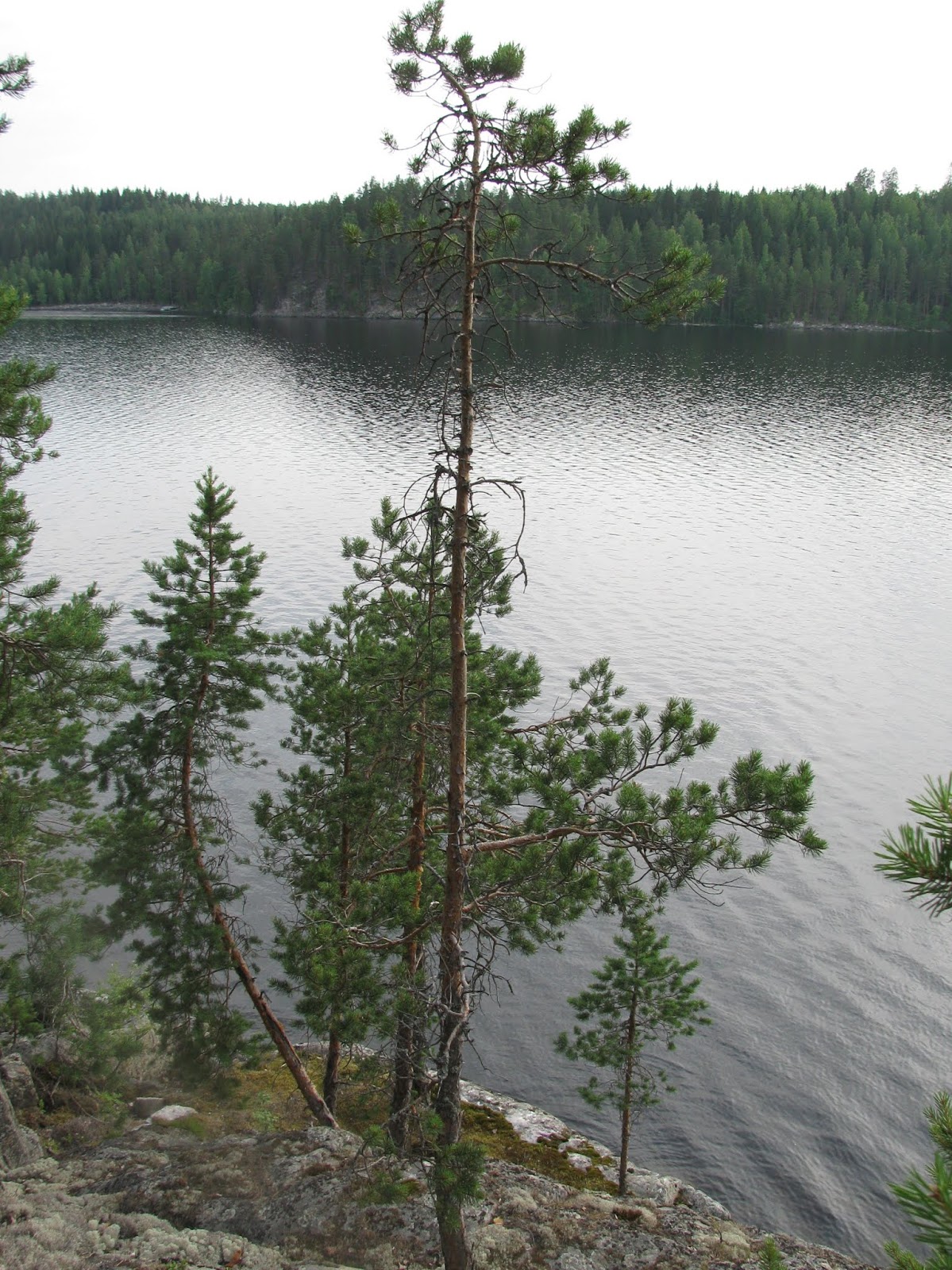 Valon pisaroita: 2018