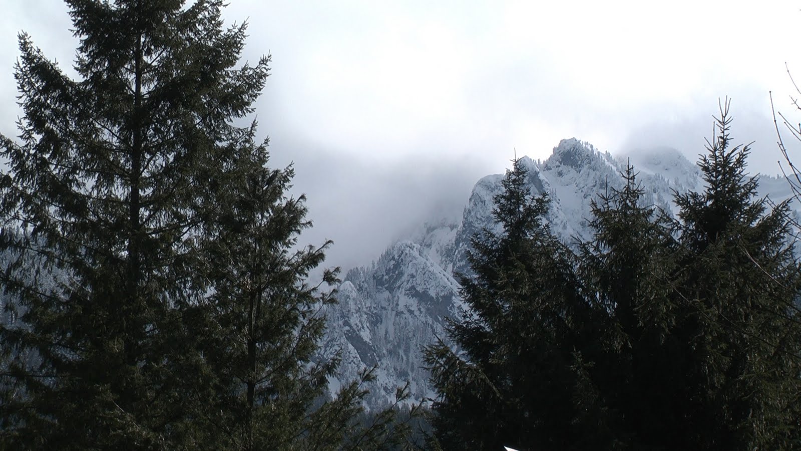 Keith Lango Animation