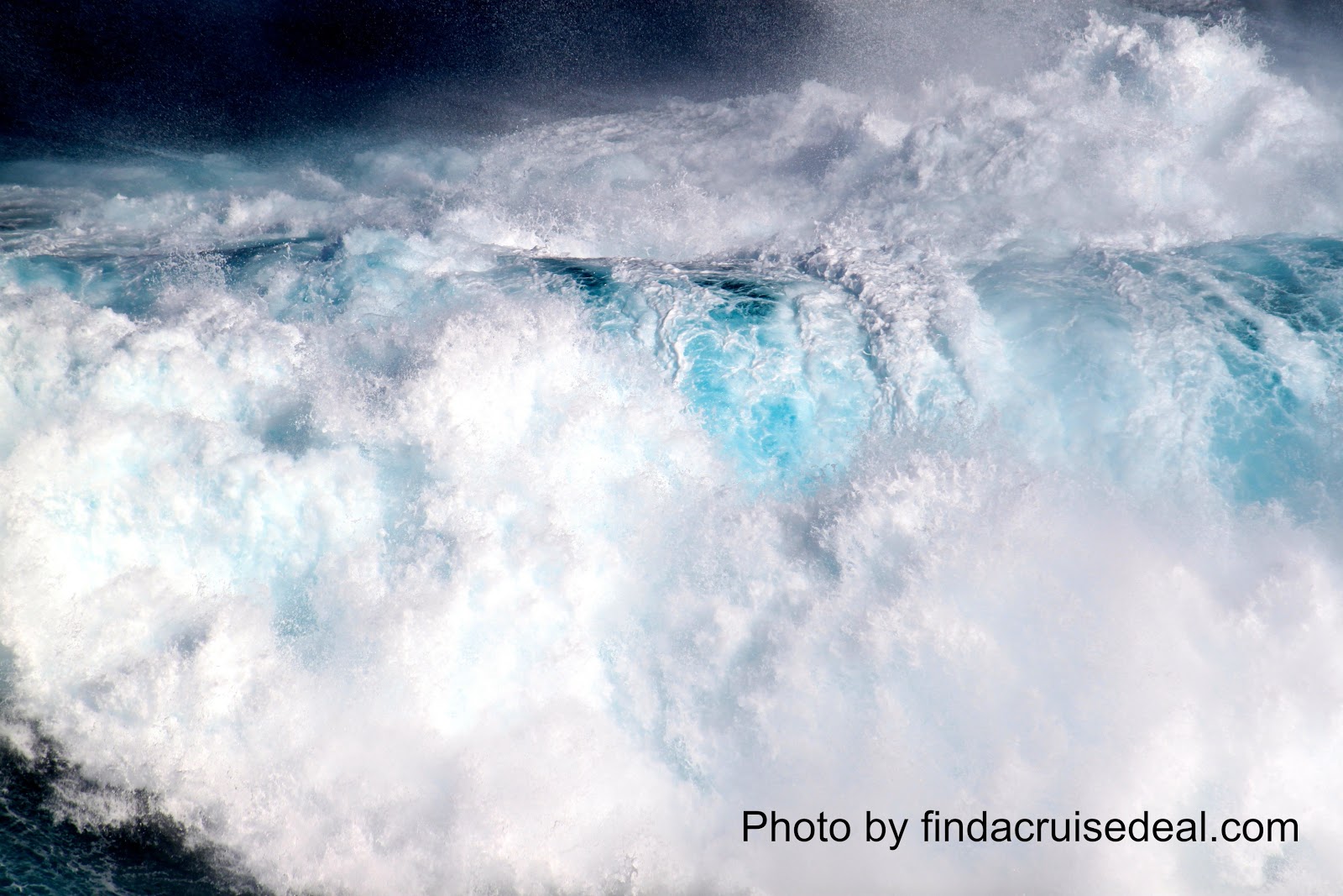 Carl's Cruise Capers and Travel Tips