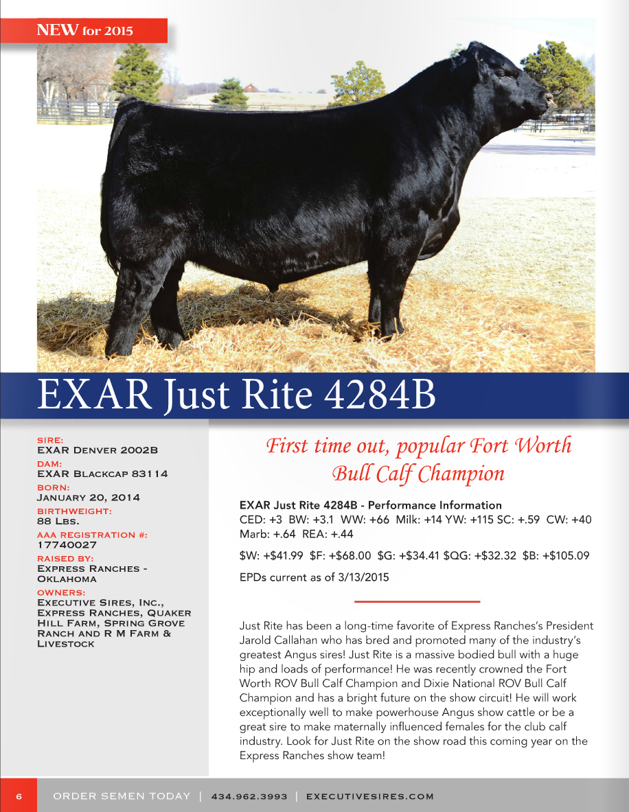 Executive Sires, Inc.: New for 2015 - Powerhouse Angus Sire - EXAR Just ...