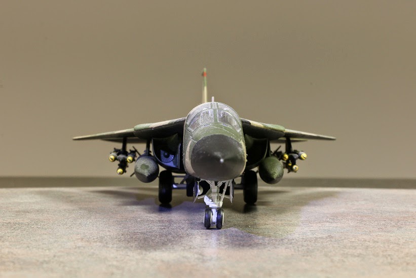 Michigan Exposures: The F-111 Aardvark