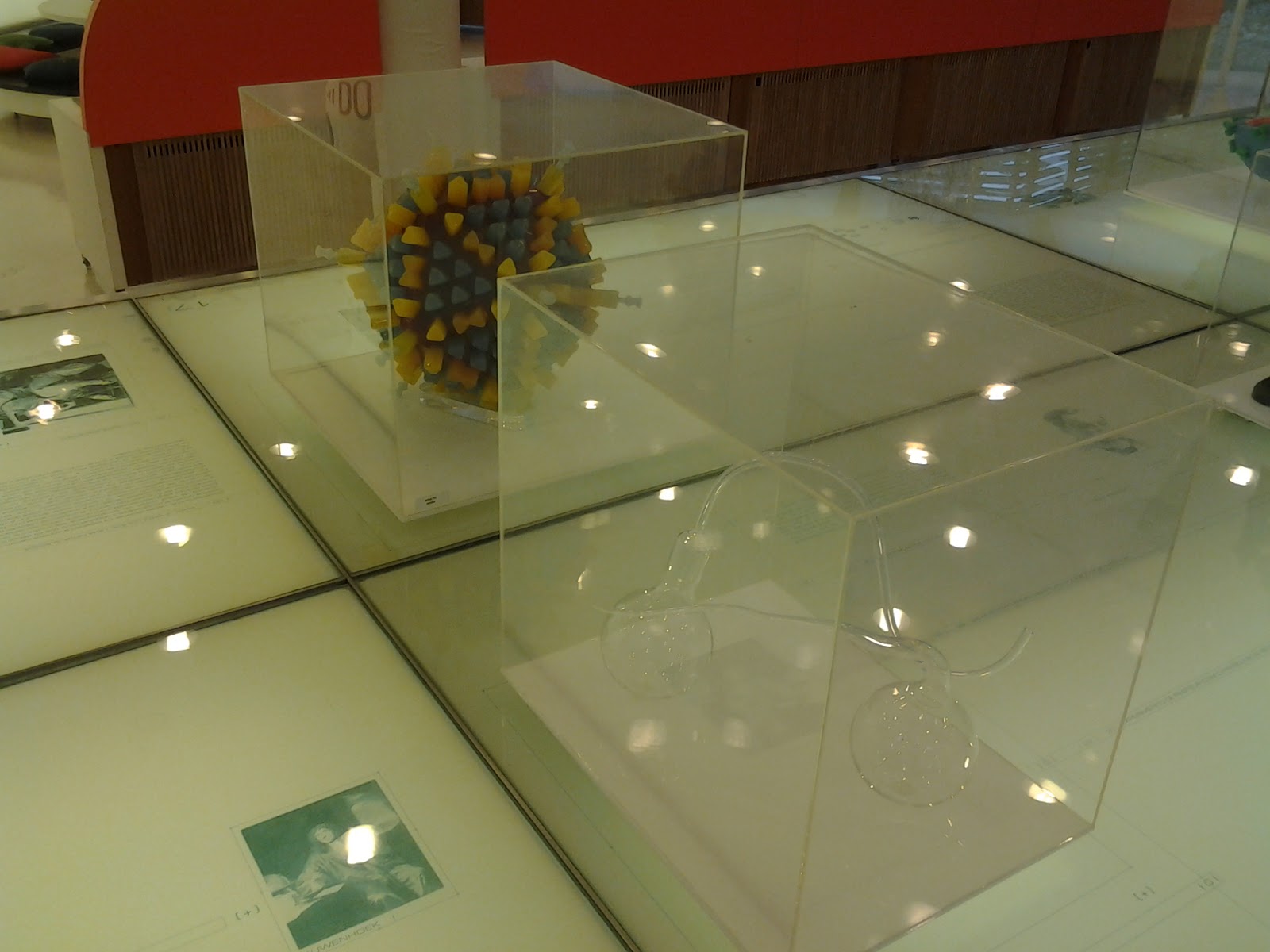 Viva o Butantã: História do Butantã.