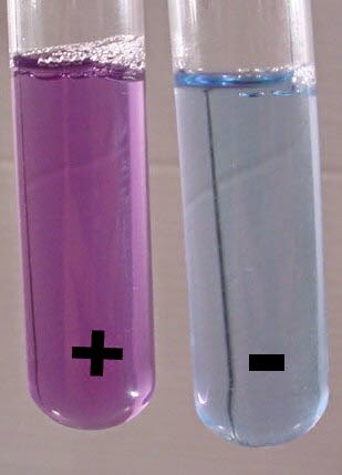 TEST FOR PROTEIN - BIOCHEMINOLOGY
