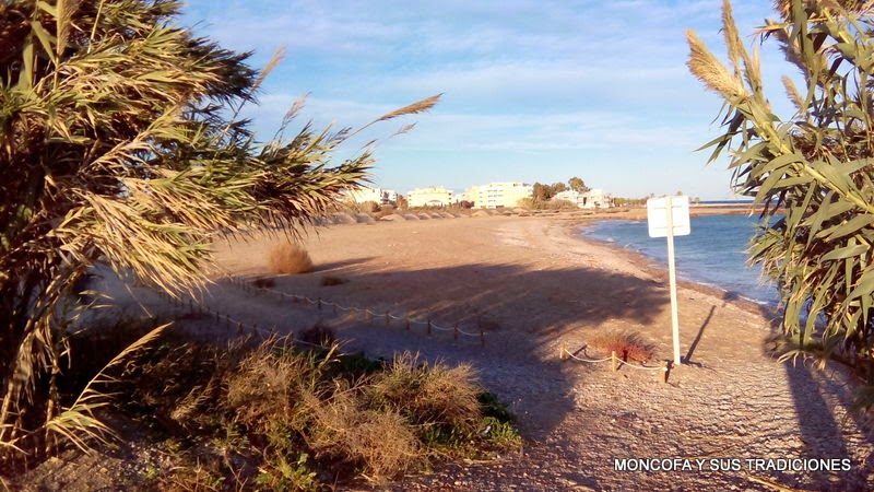 MONCOFA Y SUS TRADICIONES: Visitamos la zona de las dunas en la playa ...
