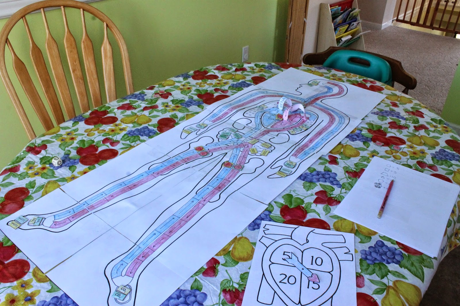 You want to learn about What??: Human Anatomy-The Circulatory System