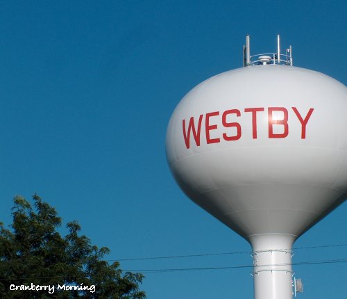 Cranberry Morning: Westby, Wisconsin