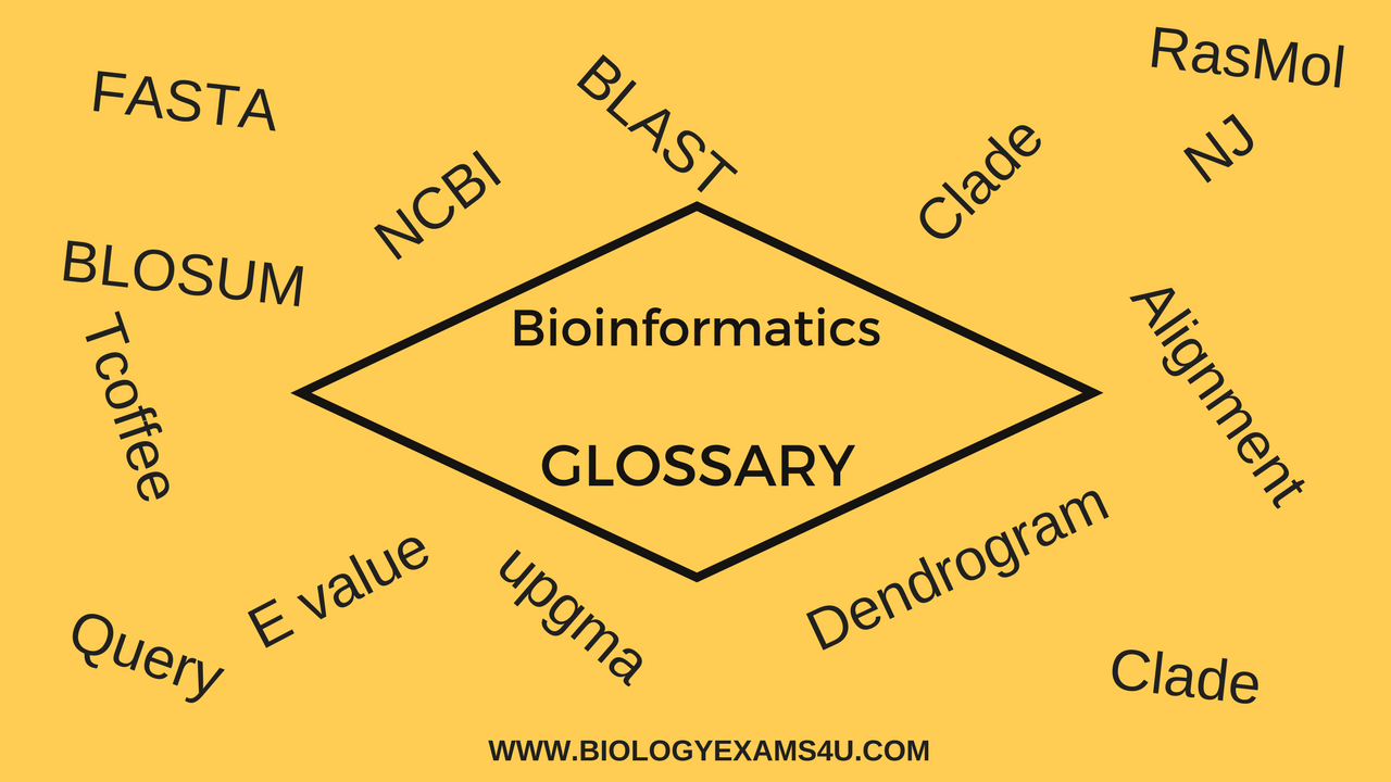 Glossary Of Bioinformatics Terms Blast Blosum E Value Kegg Fasta