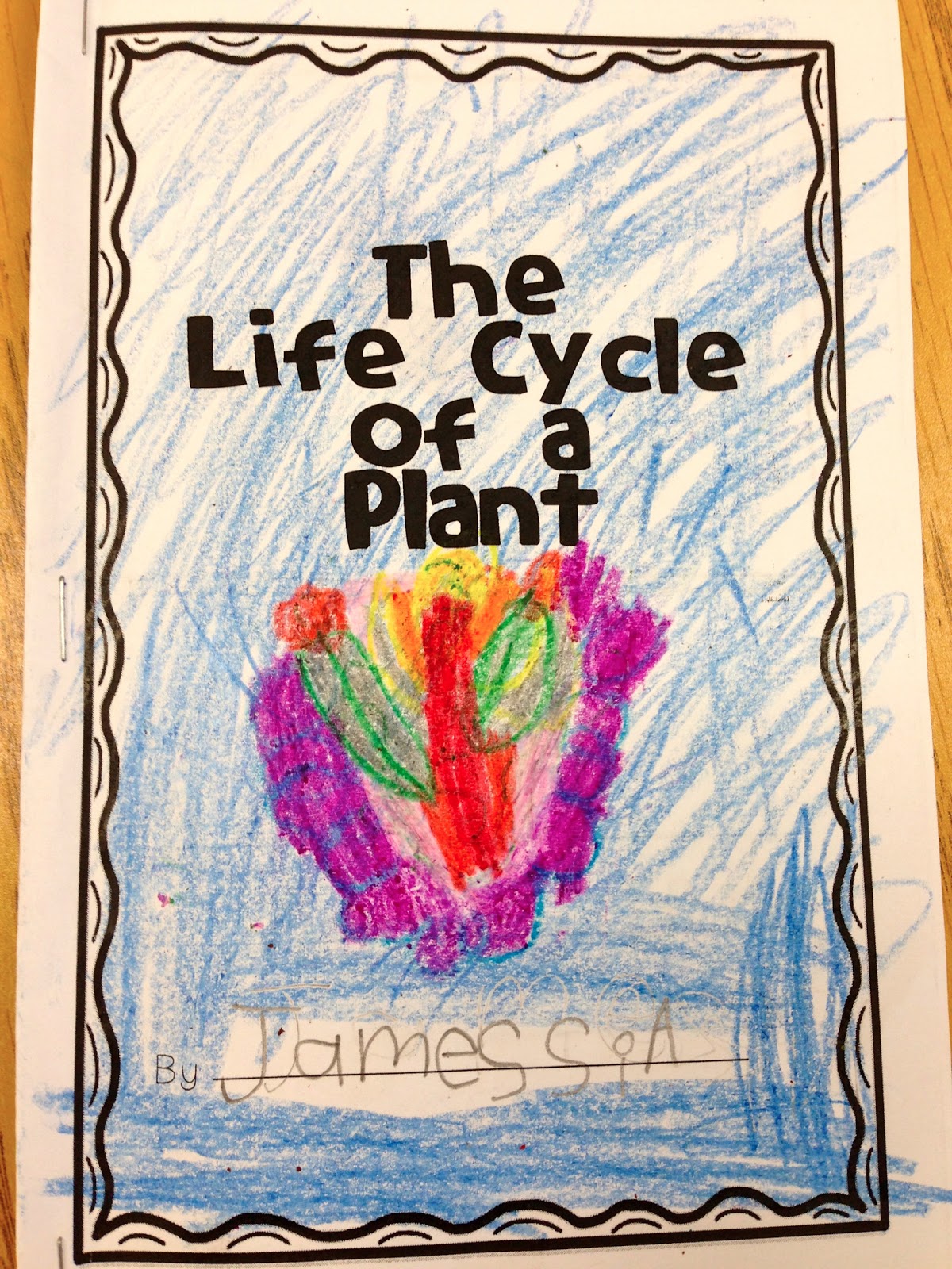 Kindergarten Hopefuls: All About Living Things