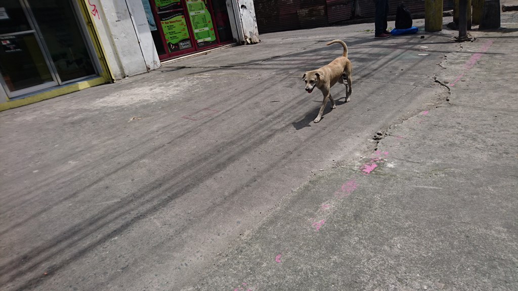 JAPOHR project blog: First meeting for Bulacan project