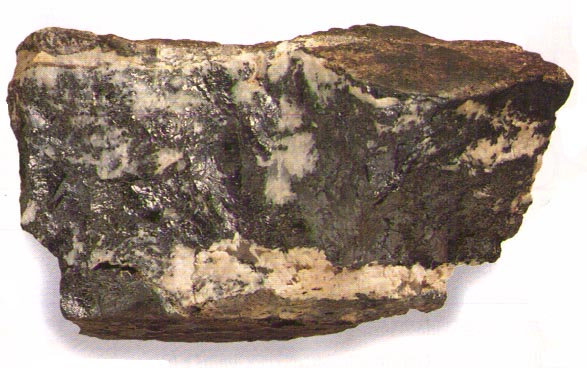 Argentum nitricum