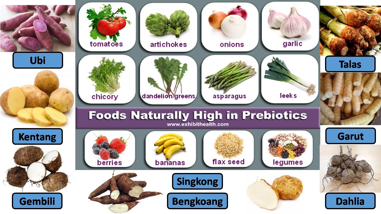 Fun Facts of Synbiotics // Dominikus Raditya Atmaka, S.Gz., MPH ...