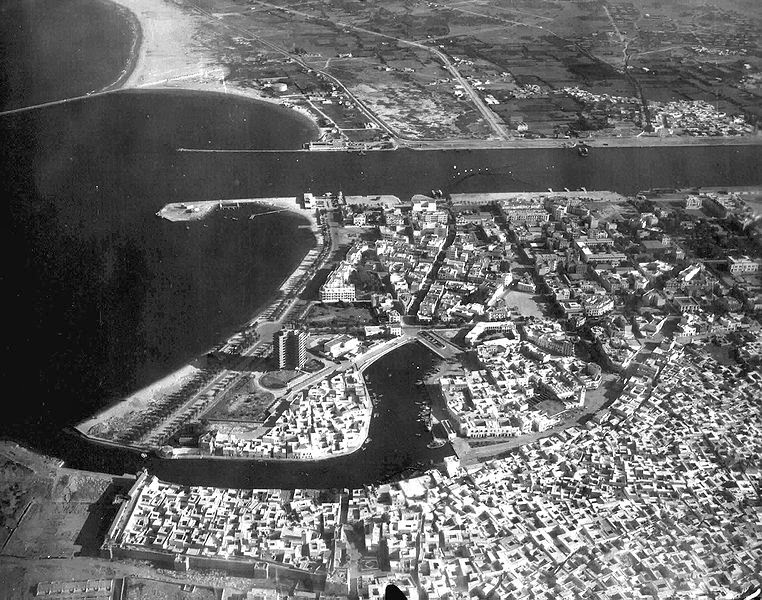 L'autre côté de la colline: Bizerte 1961, la dernière bataille ...