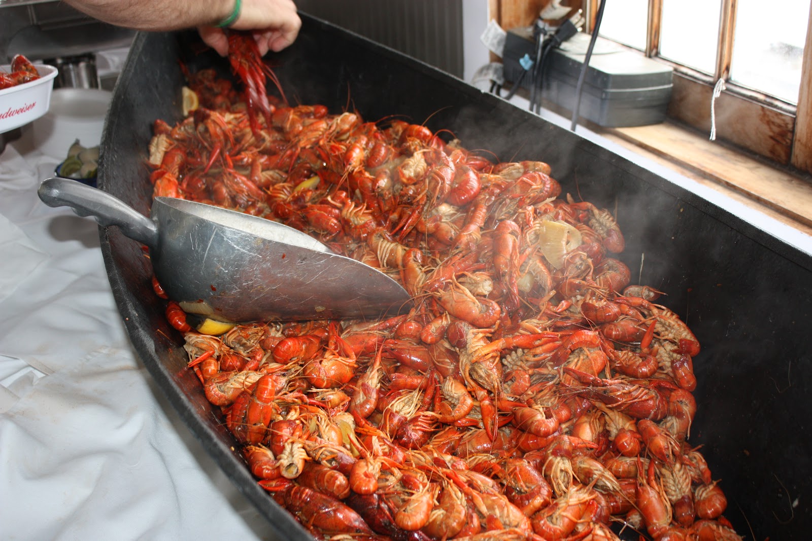DOUGLAS GREEN ASSOCIATES, INC.: 5th Annual DGA Crawfish Boil!