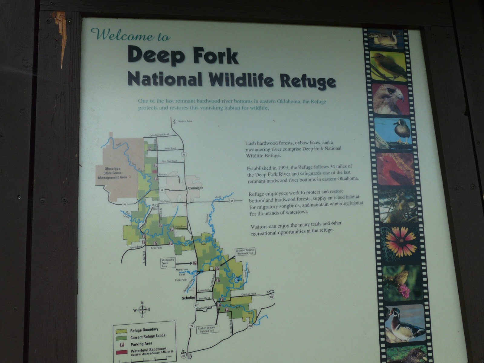 Archiving throughout Arizona, New Mexico, Oklahoma, and Texas: Deep ...