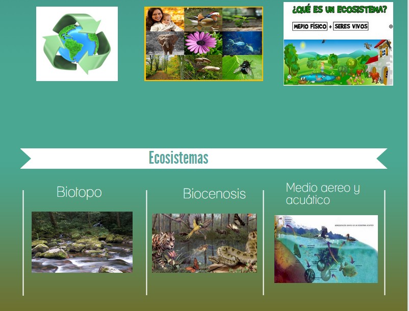 BioMerced: La ecología y los ecosistemas