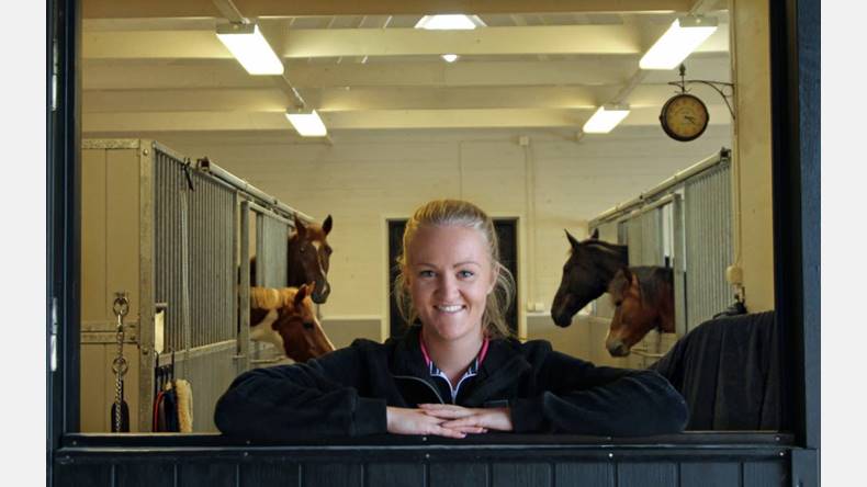 Jörgen Auer: Auers hästår 2015