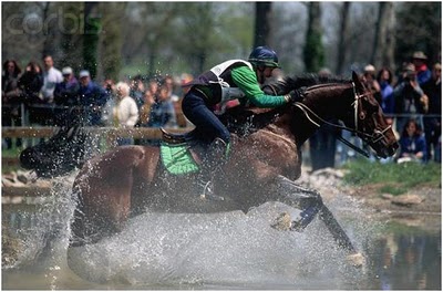 O'Shea Eventing: Ralph Hill Clinic #1