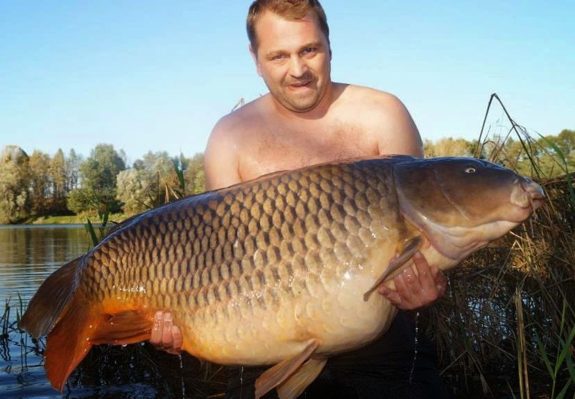 Betaalwater FZZ See in Oostenrijk | Record karper naar 41,5 kg