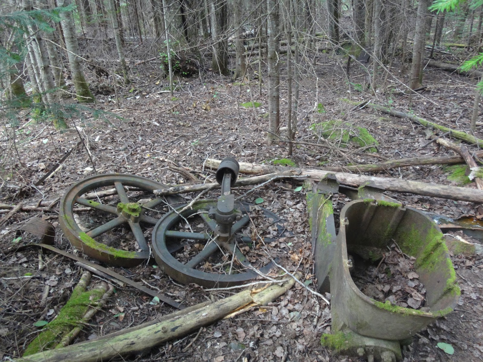 double d mountain runner: Allagash Wilderness - Abandoned trains