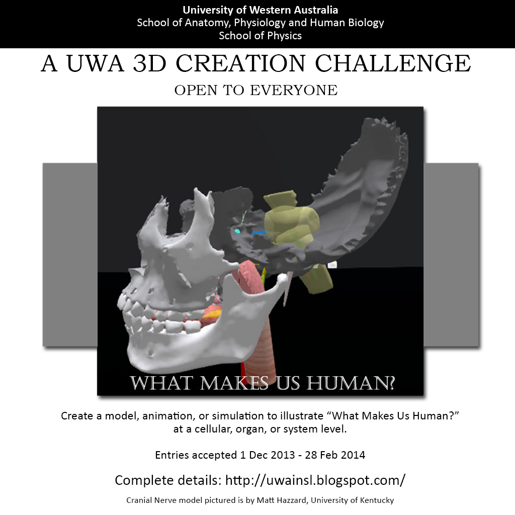Echt Virtuell UWA 3D Bauwettbewerb Was Macht Uns Zum Menschen echt-virtuell-uwa-3d-bauwettbewerb-was-macht-uns-zum-menschen