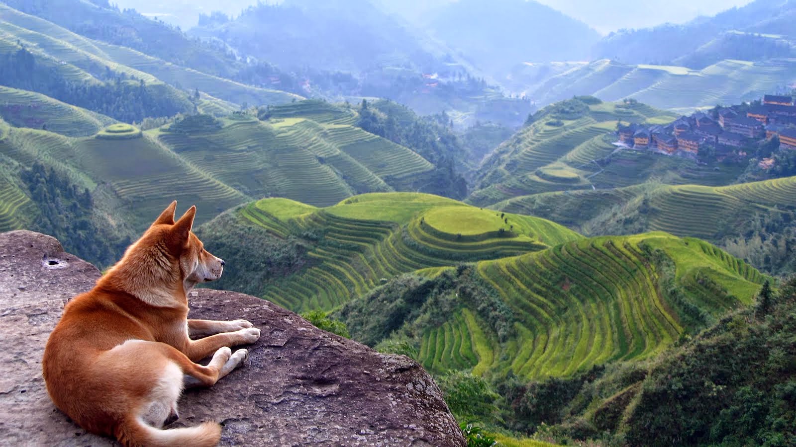 ANM105 - Drawing Basics For New Media: Week Five - Two-Point Perspective